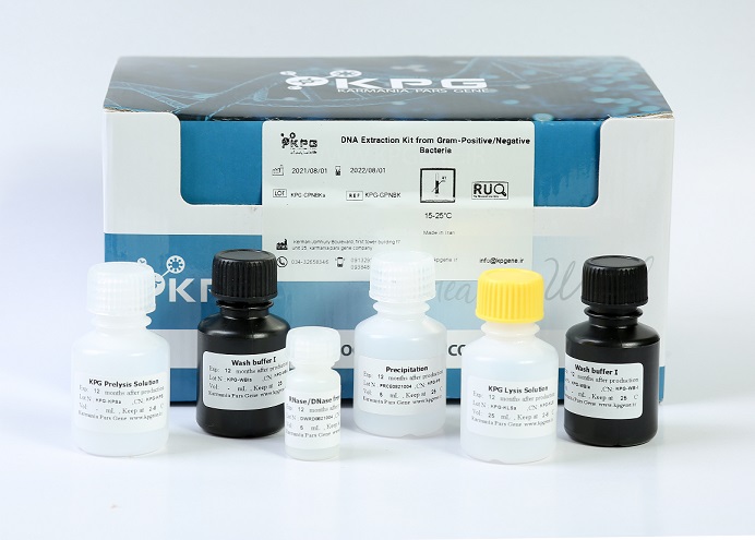 کیت استخراج DNA از باکتری گرم مثبت - بازرگانی فردا ژن آزما